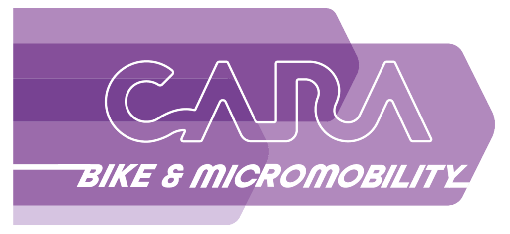 CARA presentation - Display website